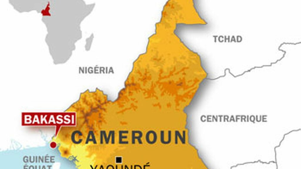 Cameroun, le Bataillon d'Intervention Rapide (BIR) au cœur du pouvoir ...