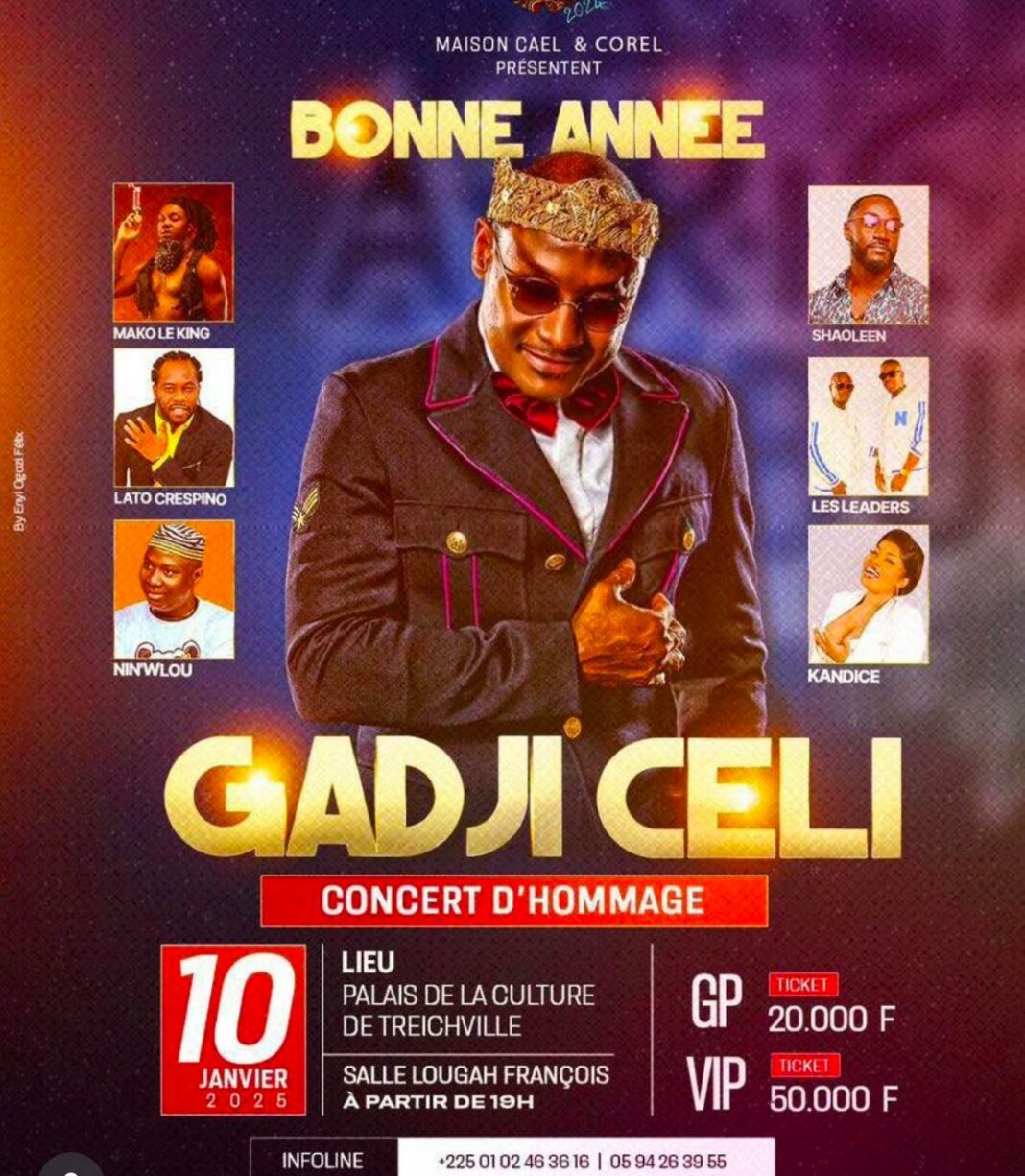Le retour triomphal de Gadji Celi en concert à Abidjan - Mondafrique